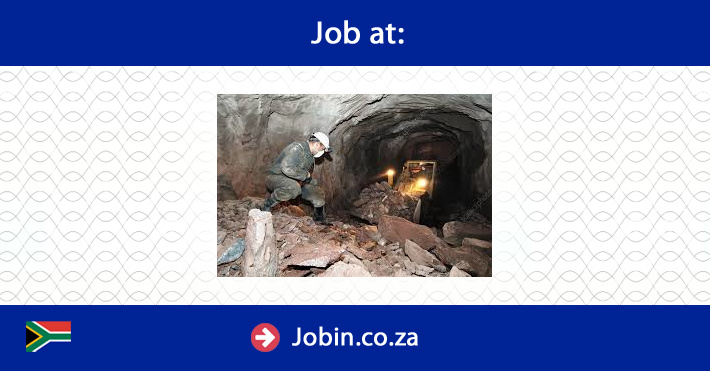 Dishaba Platinum Mine Now Opening New Shaft Inquiry Mr Mabuza