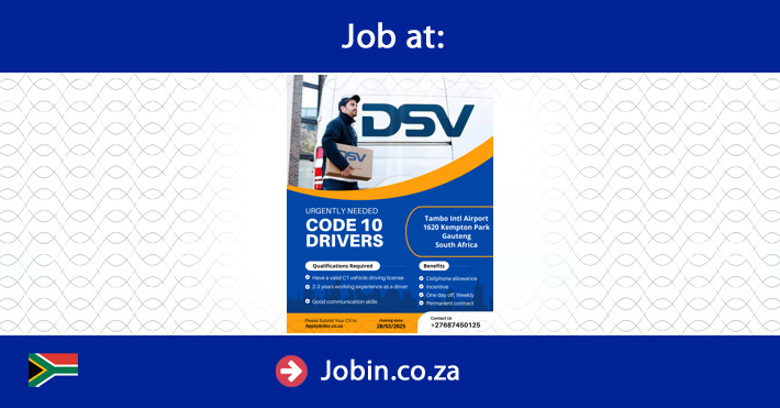 Light Delivery Vehicle (LDV) Driver